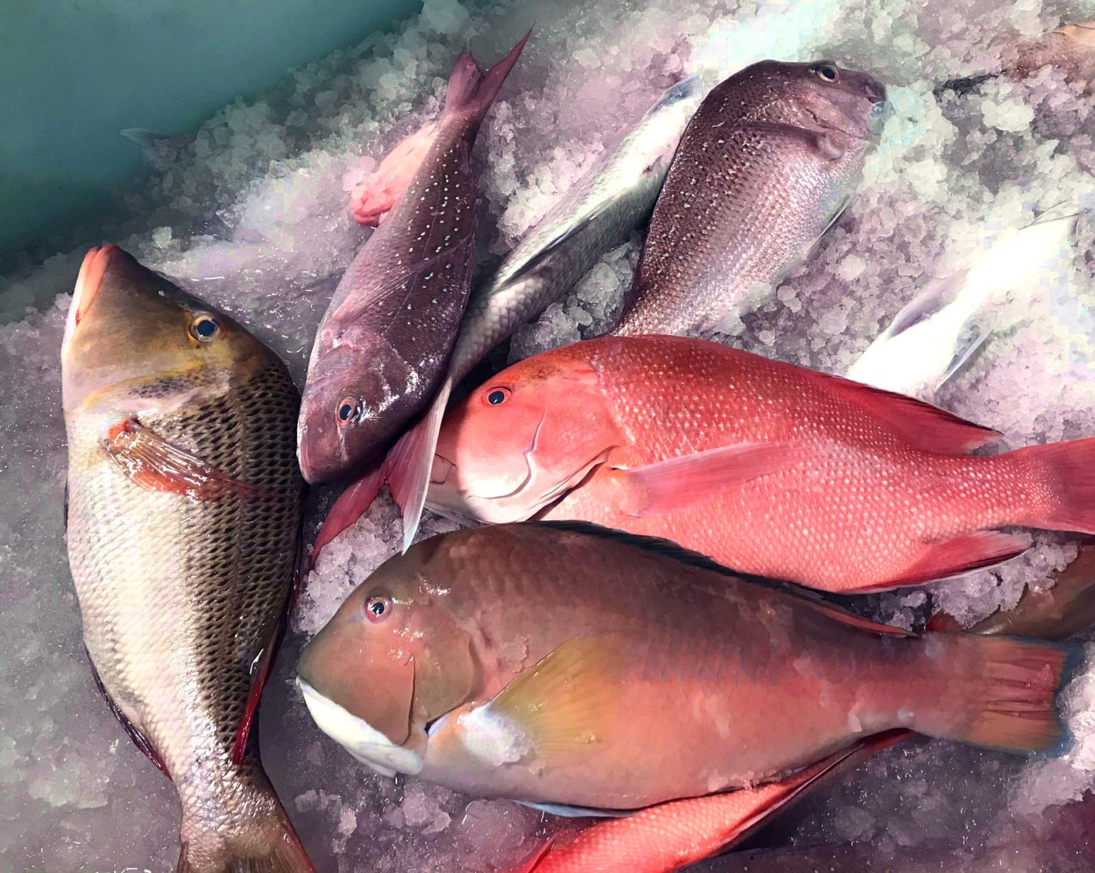 McBoats Seafood Official Website